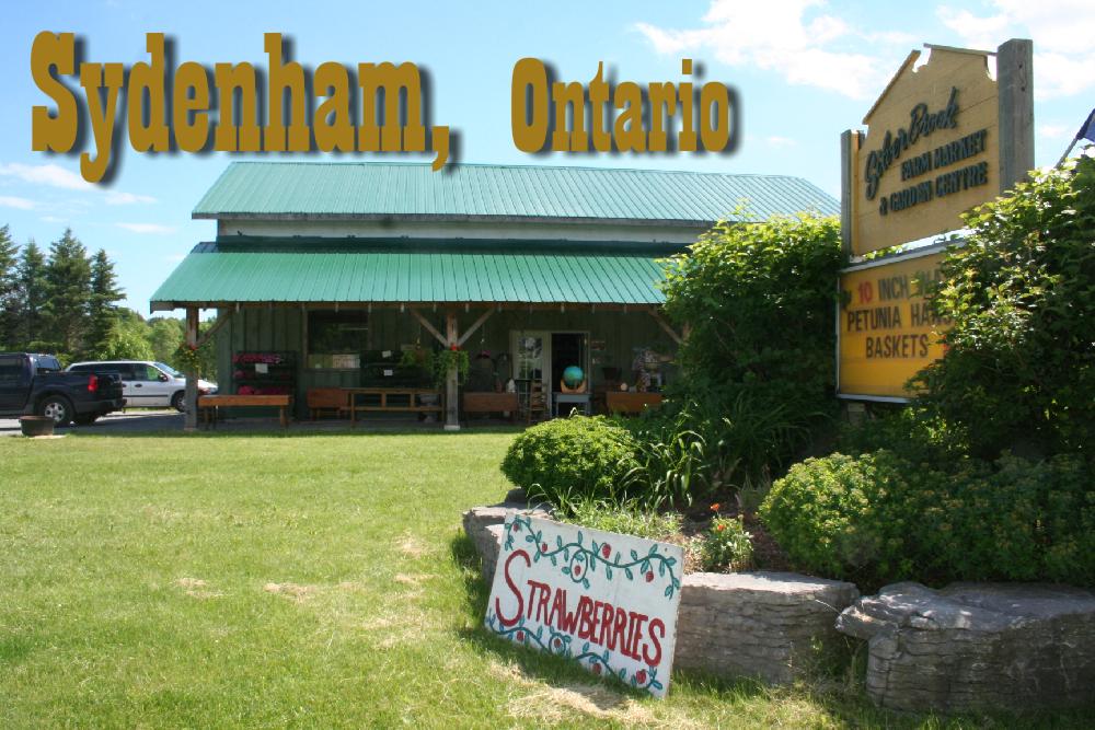 Rural Routes - Silverbrook Garden Centre and Silverbrook Antiques
